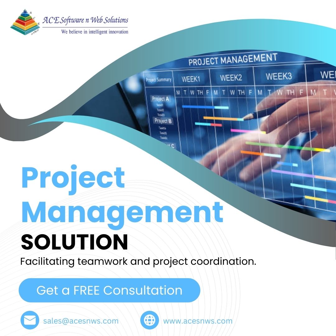 Collaboration and Project Management Tools Development